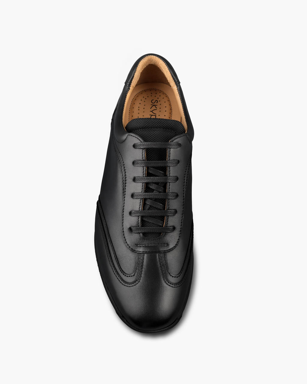 Skypro - George Cayley