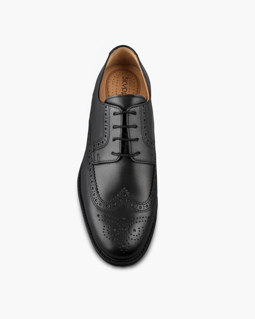 Skypro - Louis Bleriot